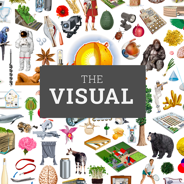 A visual approach to knowledge - QA international