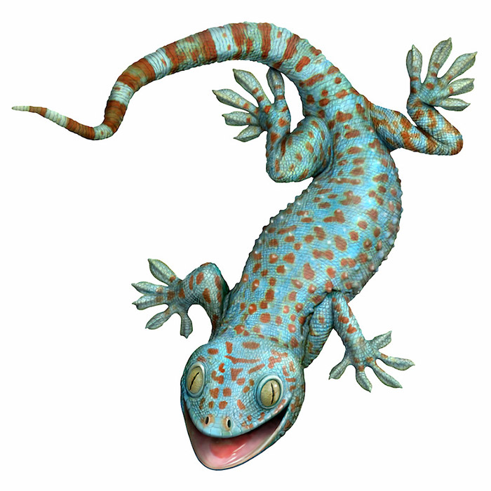 A visual approach to knowledge - QA international