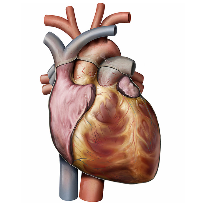 A visual approach to knowledge - QA international