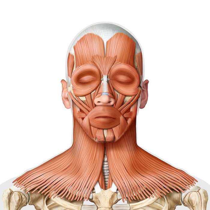 A visual approach to knowledge - QA international