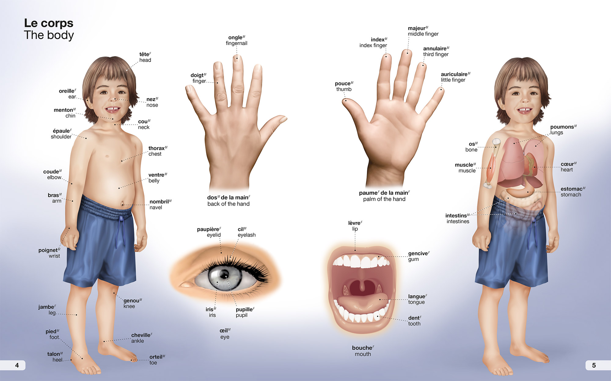 My First Visual Dictionary - QA international