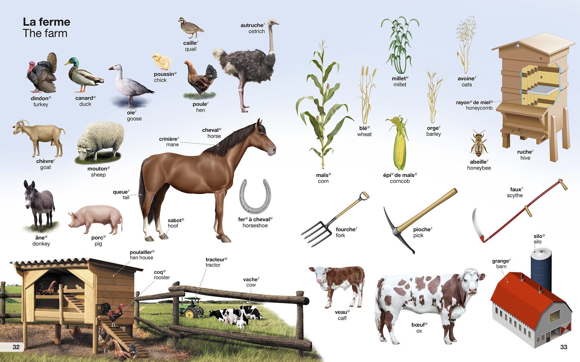 My First Visual Dictionary - QA international