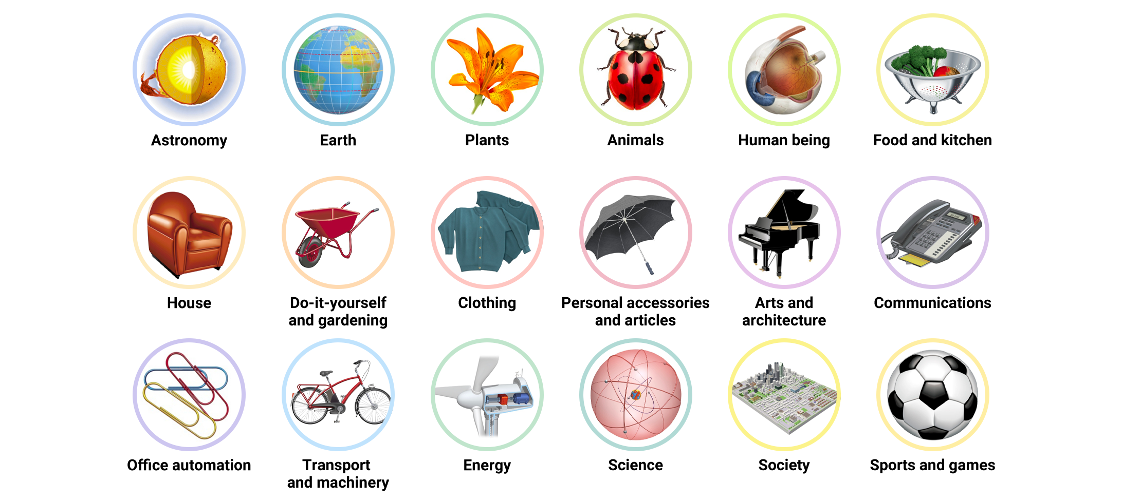 The Visual - QA international