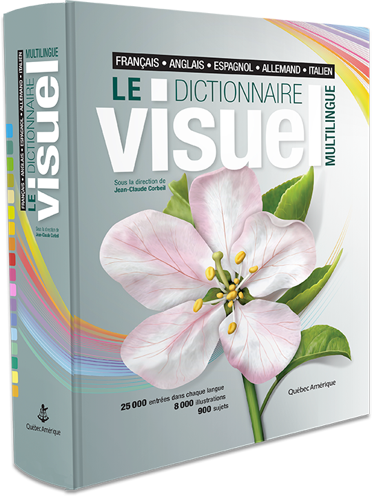 The Visual Dictionary 4th Edition - QA international