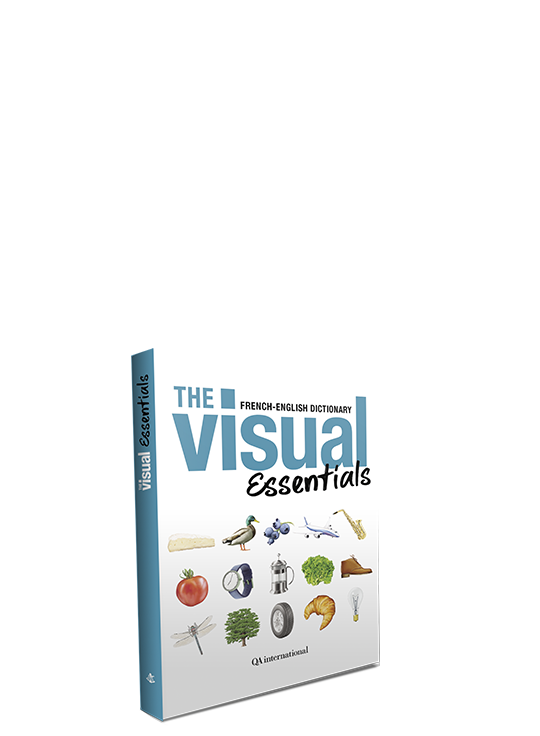 Visual Dictionaries - QA international